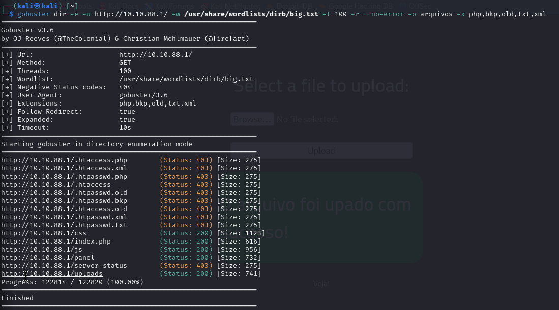 TryHackme - Rootme - Write-Up :: Natan Maia Morette